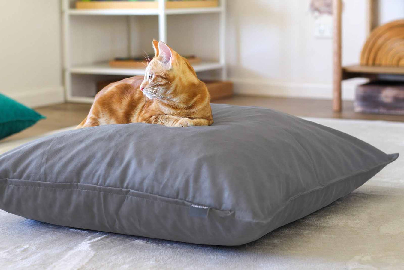 Open media 1 in modal